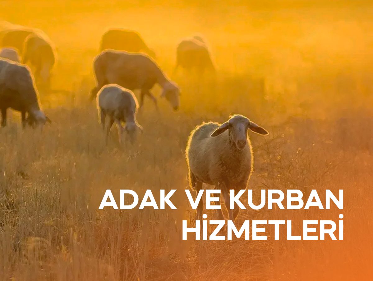 Adak ve Kurban Hizmetleri - Somuncu Baba Vakfı